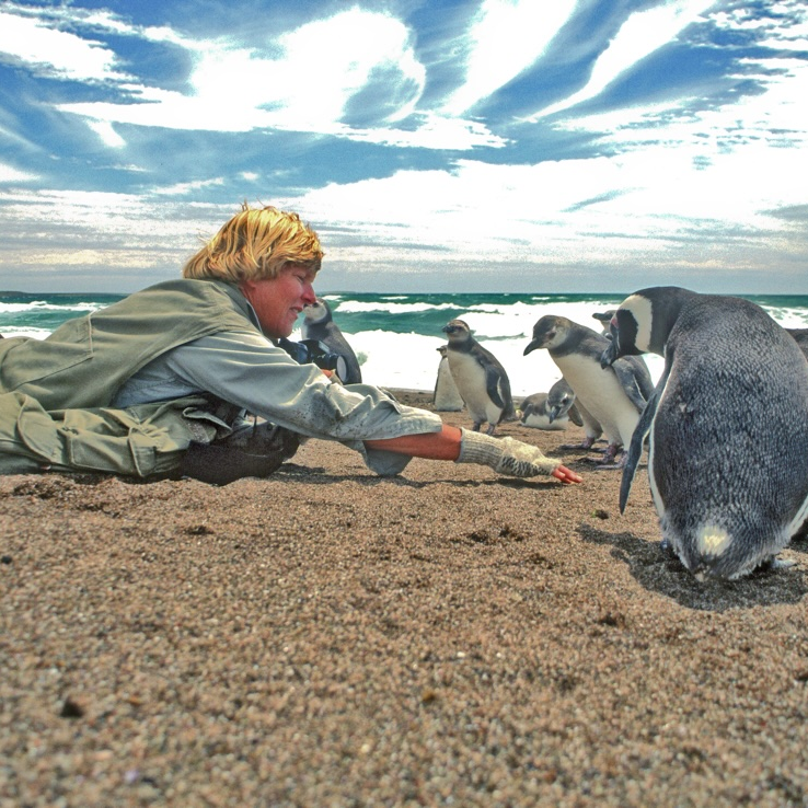 Observing Seabirds: Understanding Oceans | Farallon Institute
